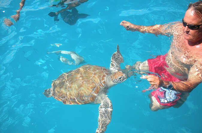 Barbados Catamaran Turtle Snorkel with Lunch and Open Bar - Who Is This Tour Best For?