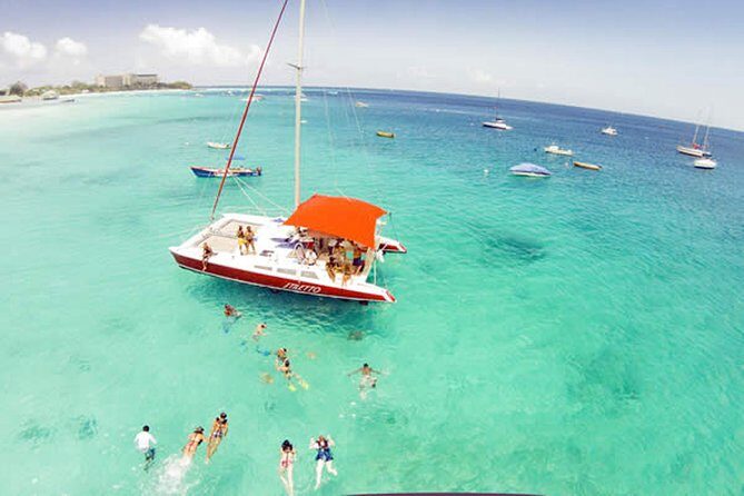 Barbados Catamaran Turtle Snorkel with Open Bar - Authentic Experiences and What Travelers Say