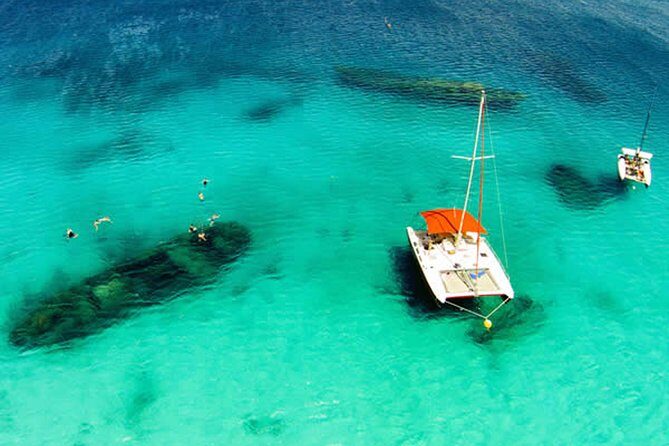 Barbados Catamaran Turtle Snorkel with Open Bar - The Price and Its Value