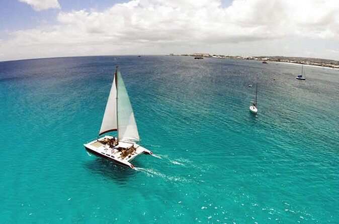 Barbados Catamaran Turtle Snorkel with Open Bar - Who Will Love This Tour?