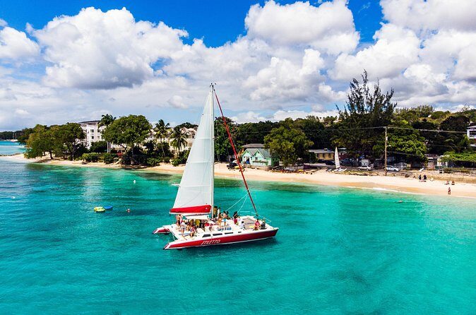 Barbados Catamaran Turtle Snorkel with Open Bar - The Sum Up