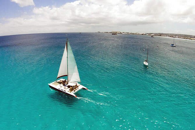 Barbados Catamaran Turtle Snorkel with Open Bar - FAQ