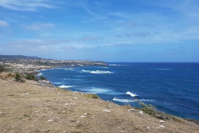 Barbados Coastal Sightseeing Private Tour - What Makes This Tour Special?