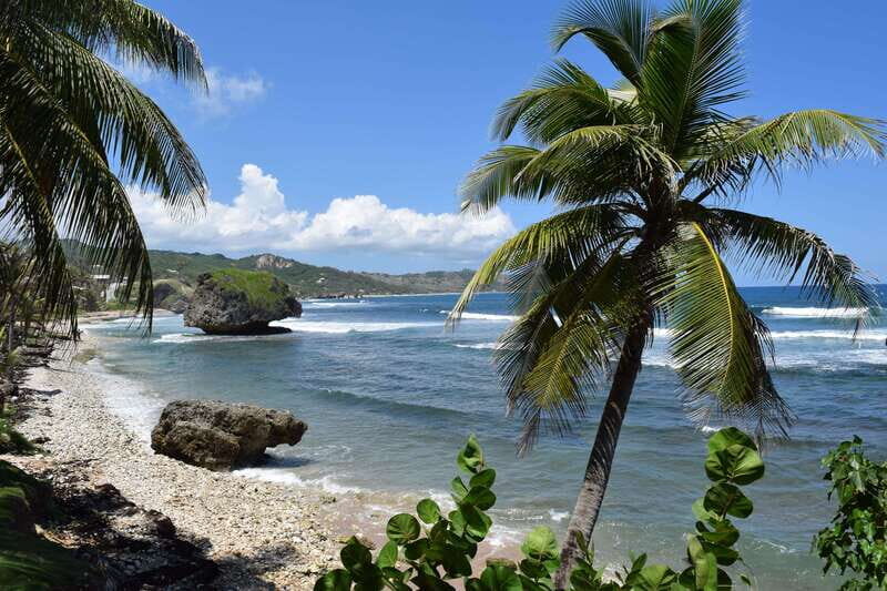Barbados: Coastal Sightseeing Tour with Lunch and Transfers - Barbados: Coastal Sightseeing Tour with Lunch and Transfers – A Comprehensive Review