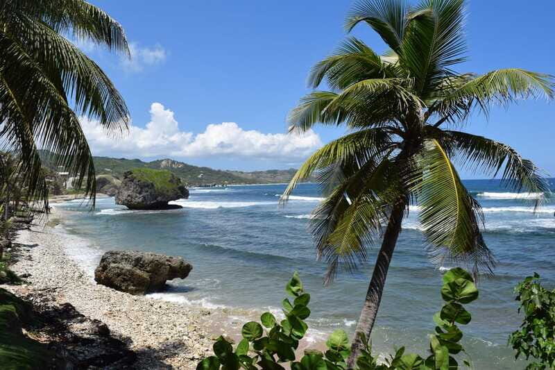 Barbados: Coastal Sightseeing Tour with Lunch and Transfers - The Sum Up