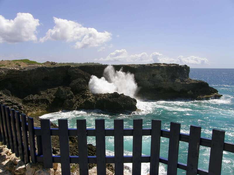 Barbados: Coastal Sightseeing Tour with Lunch and Transfers - Frequently Asked Questions