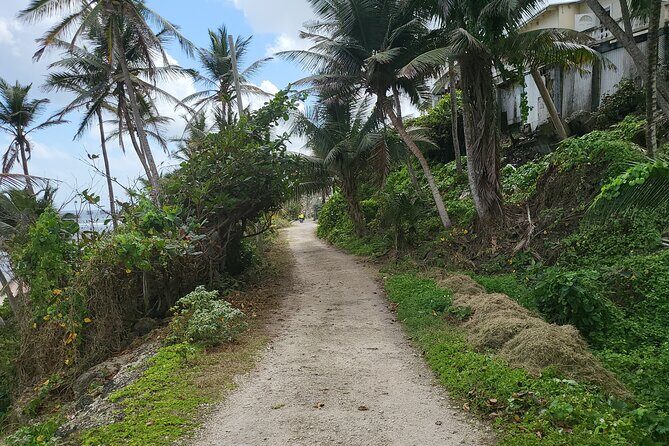 Barbados Ebike Day Rental(24 hours) - Booking and Cancellation Policies