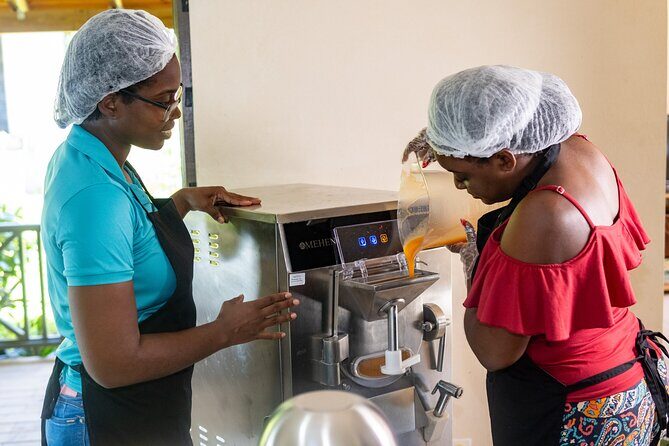 Barbados Fruit to Scoop Culinary Experience : Taste & Make Sorbet - The Sum Up