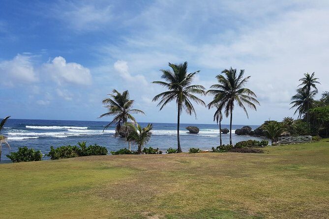 Barbados Half Day Coastal Sightseeing Private Tour - Who Will Love This Tour?