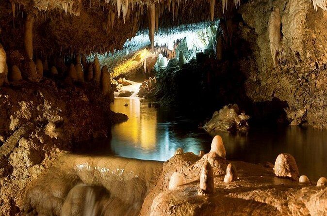 Barbados Harrison's Cave and Atlantis Submarine Dive Tour - FAQs