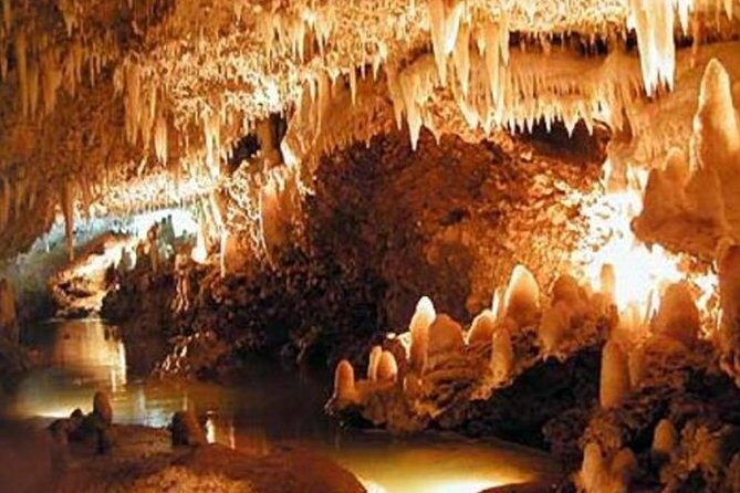 Barbados Harrison's Cave and St Nicolas Abbey Tour - Who Would Enjoy This Tour?