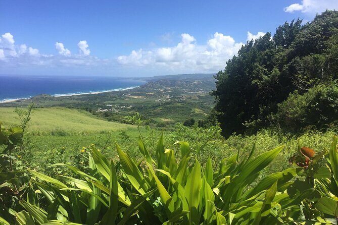 Barbados Highlights and Rum Tour - Final Thoughts