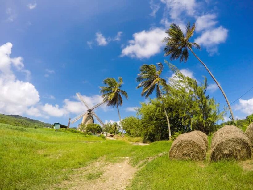 Barbados Highlights Tour - A Deeper Look at the Barbados Highlights Tour