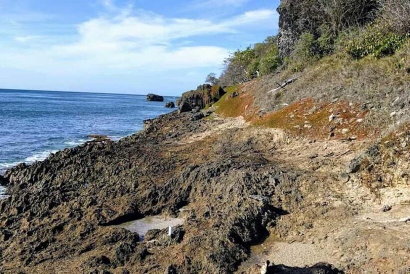 Barbados: Hiking and Sightseeing Tour - Practical Details and Tips for Travelers