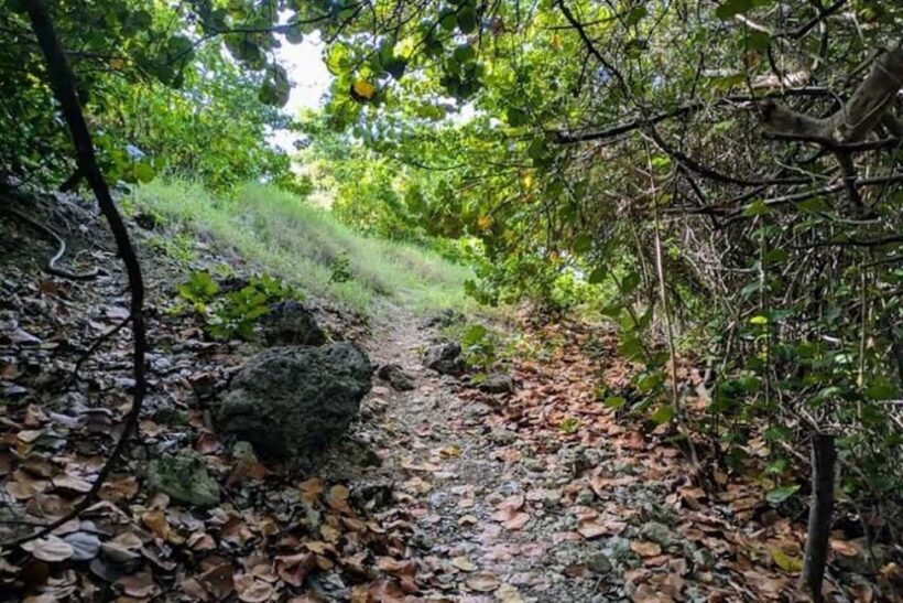 Barbados: Hiking and Sightseeing Tour - Who Should Consider This Tour?