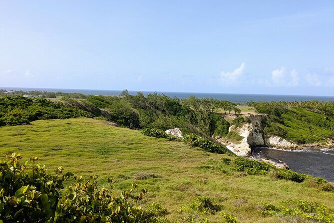Barbados Hiking and Sightseeing Tour (Transport Included) - Authentic Experiences & Real Feedback