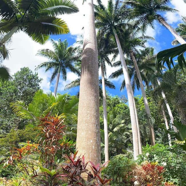 Barbados: Hunte's Garden, Artisan Studios, and Beach Tour - Key Points