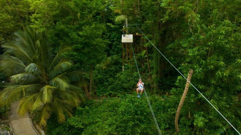 Barbados: Monkey Zip & Gully Challenge Adventure - Key Points
