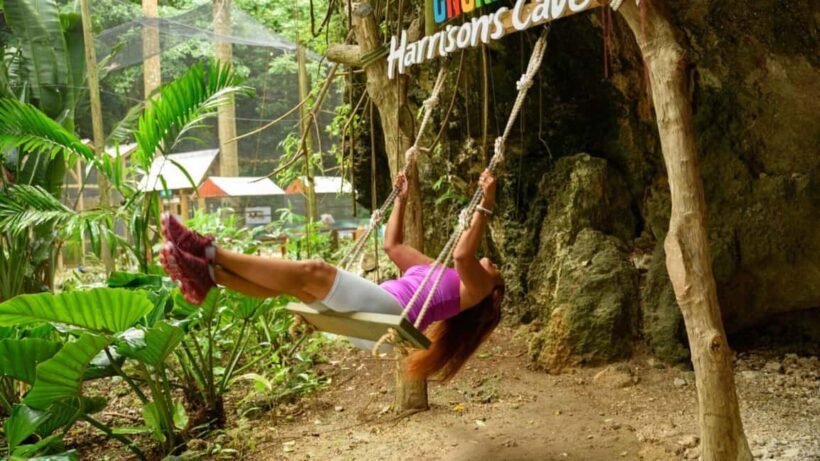 Barbados: Monkey Zip & Gully Challenge Adventure - Final Thoughts