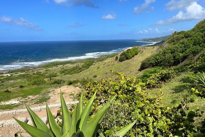 Barbados Paradise Tour with Hotel Transfers - Exploring Barbados on this 6-hour adventure