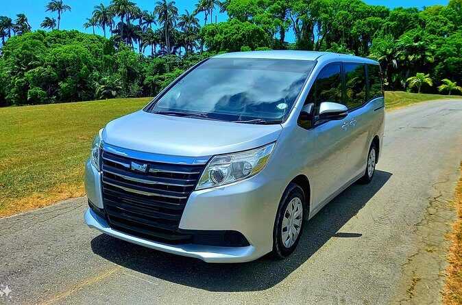 Barbados Private Cruise Port Transfer - Authentic Experiences and Reviews