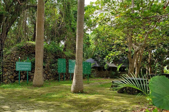 Barbados Private Custom Island Tour - Who Should Consider This Tour?