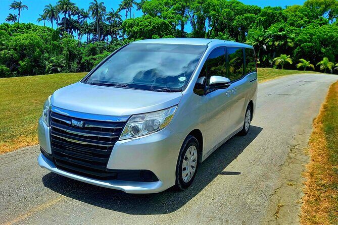 Barbados Private Transfer to Airport (BGI) - Practical Details and Tips for Travelers