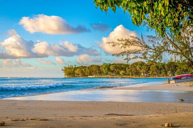 Barbados Reclaim Land Small Group Guided Tour in Pelican Island - The Sum Up