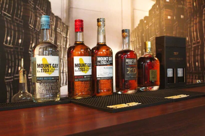 Barbados: Rum Distillery Tour and Mount Gay Visitor Center - Who Will Love This Tour?