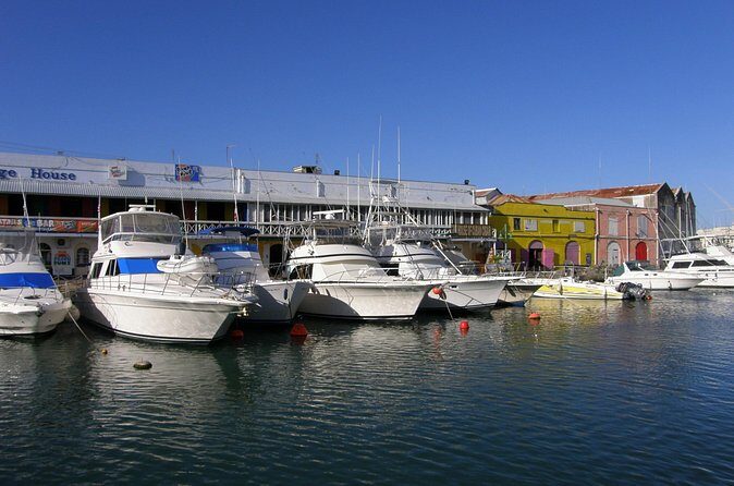 Barbados Shore Excursion: Bajan Highlights - The Value of the Experience