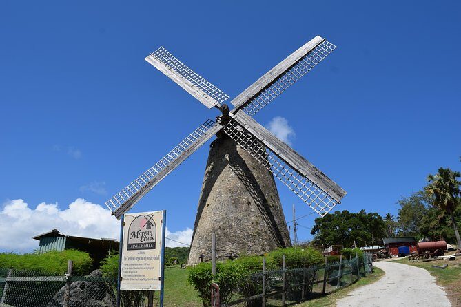 Barbados Shore Excursion Barbados Paradise Sightseeing Tour - The Sum Up