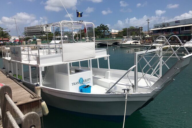 Barbados Shore Excursion Island Tour and Snorkel Cruise - A Detailed Exploration of the Tour