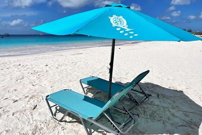 Barbados Shore Excursion: Wildlife Encounter and Beach Day - Final Thoughts