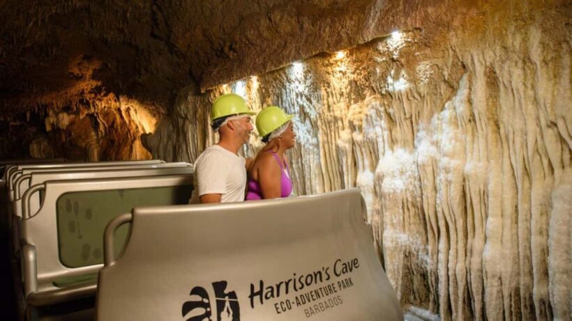 Barbados: Trail, Tram & Rum Experience - Final Thoughts