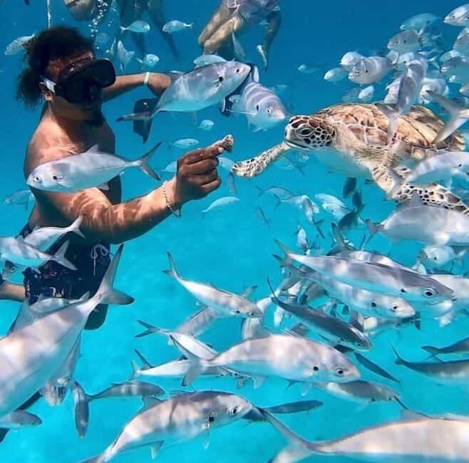 Barbados VIP Catamaran, Snorkeling, & Gourmet Lunch Cruise - Frequently Asked Questions