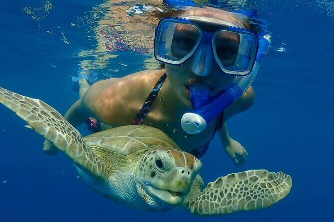 Barbados Wreck Explorers - An In-Depth Look at the Barbados Wreck Explorers Tour