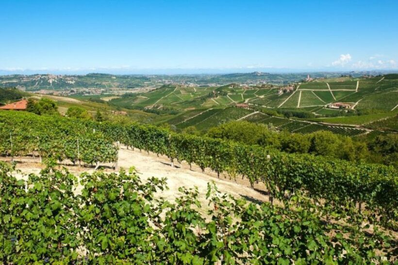 Barbaresco: E-Bike Tour of Piedmont Wineries with Tastings - Key Points