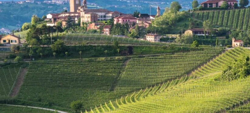 Barbaresco: E-Bike Tour of Piedmont Wineries with Tastings - A Deep Dive into the Experience