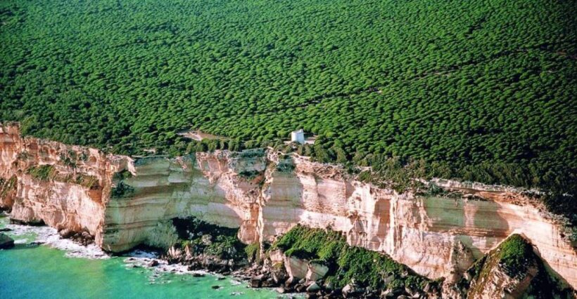 Barbate: La Breña Natural Park and Cape Trafalgar Boat Trip - Key Points