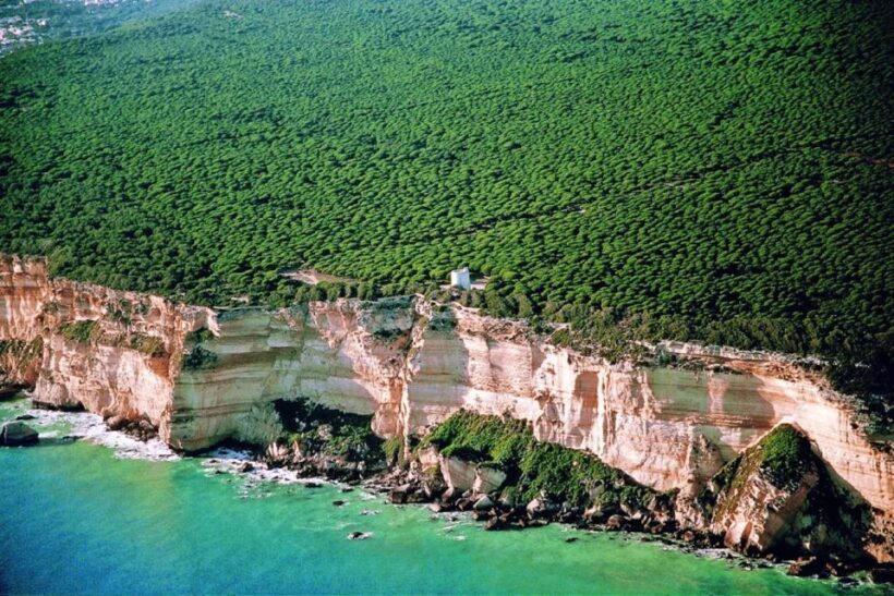 Barbate: La Breña Natural Park and Cape Trafalgar Boat Trip - What to Expect on This Boat Trip