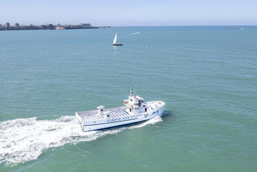 Barbate: Sunset Cruise with Glass of Cava - The Sum Up