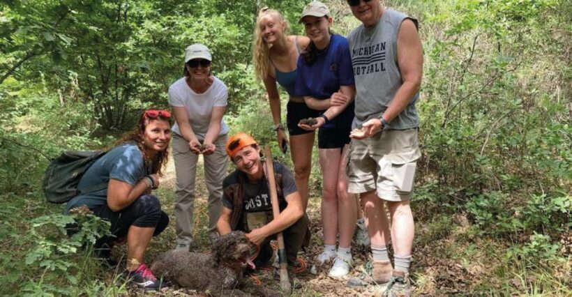 Barberino Tavarnelle: Truffle Hunt Tour with Lunch or Dinner - Exploring the Truffle Hunt Experience in Detail