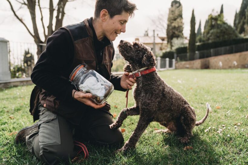 Barberino Tavarnelle: Truffle Hunt Tour with Lunch or Dinner - Who Should Consider This Tour?