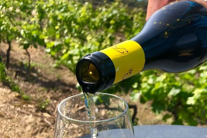 BarCa Winery Cinqueterre Trekking & Wine Tasting & Pesto Class - Wine Selection and Tasting