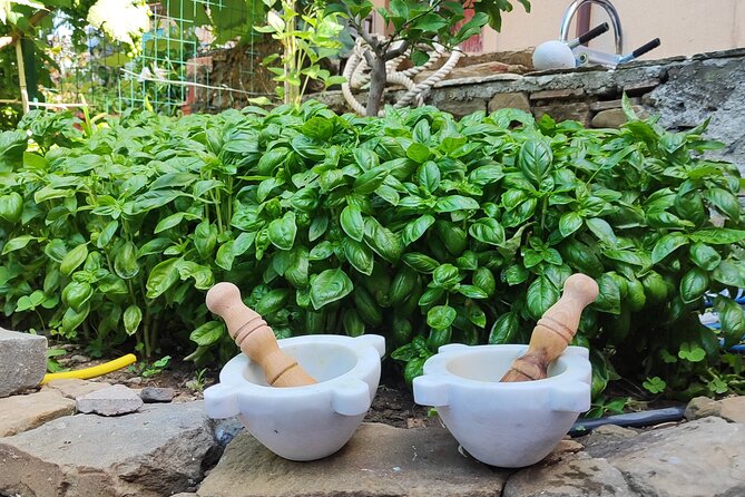 BarCa Winery Cinqueterre Trekking & Wine Tasting & Pesto Class - Meeting Point and Logistics