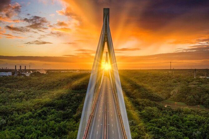 Barceló Bávaro Palace - Round Trip Shuttle - Punta Cana Airport - A Closer Look at the Experience