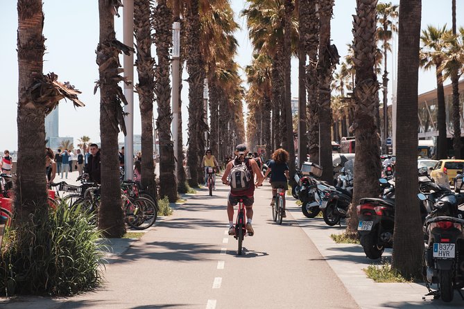 Barcelona 3-hour Bike Tour: Highlights and Hidden Gems - Who Should Consider This Tour?