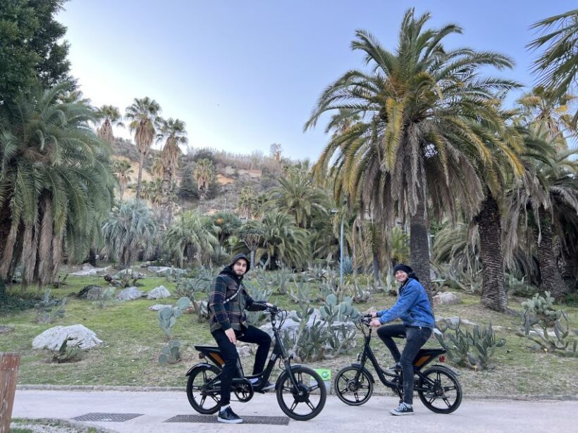 Barcelona: 3-Hour Montjuic Mountain E-Bike Guided Tour - What Youll Experience on the Tour