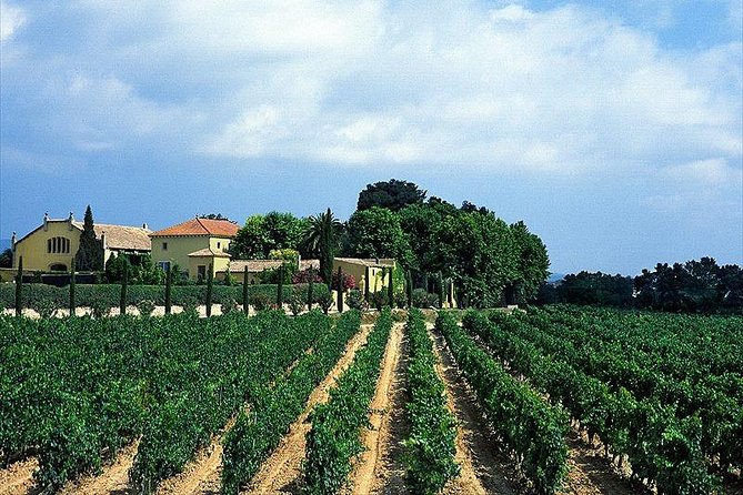 Barcelona Airport, Cuise Port or City Hotels Private Transfer - The Sum Up: A Practical Choice for Smooth Travel