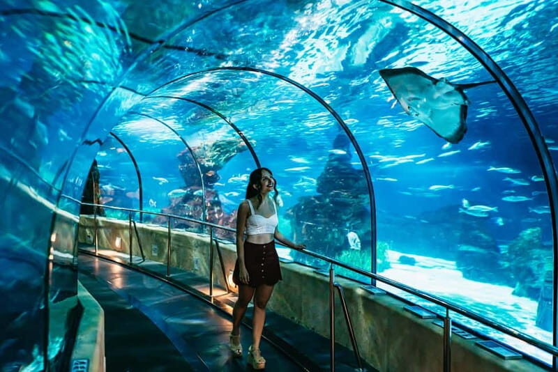 Barcelona Aquarium: Entry Ticket - Barcelona Aquarium: Entry Ticket — A Deep Dive into Marine Marvels